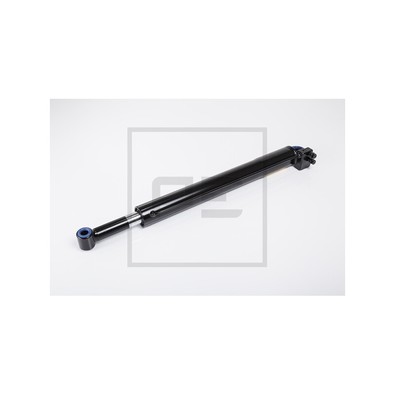 500370651 Hydraulikzylinder 20 x 30 x 705 passend für IVECO| LKW ...