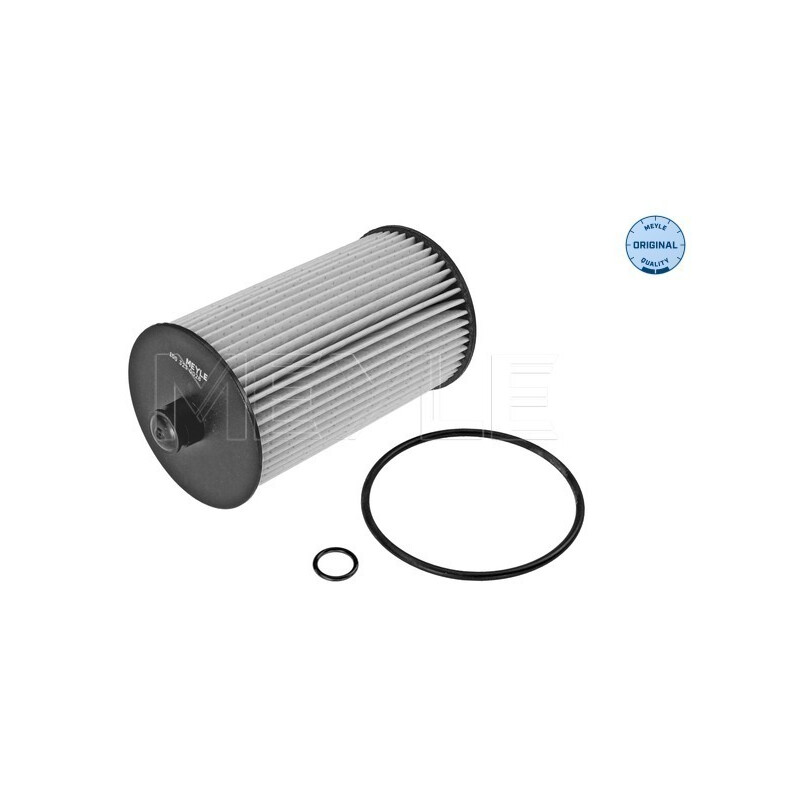 2E0127159 | LKW-Teile24 | Kraftstofffilter passend für VW - LKW ...