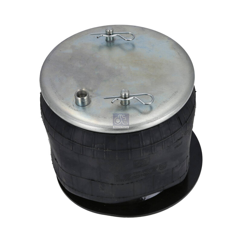 2809671 | DT Spare Parts 1.25875 Luftfederbalg für SCANIA - LKW ...